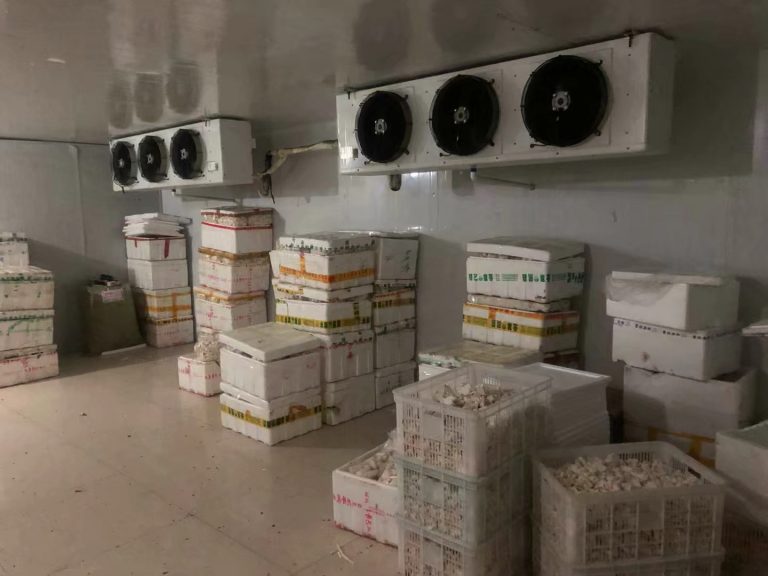 How to choose the right cold room systems to get your food safe